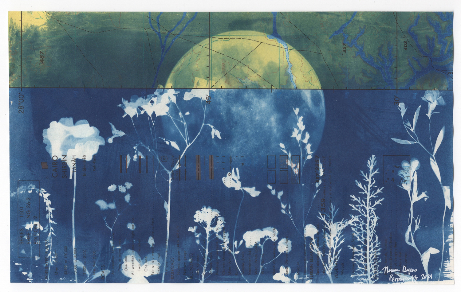 Artistic Norma – artist experimentation in alternative photo processes